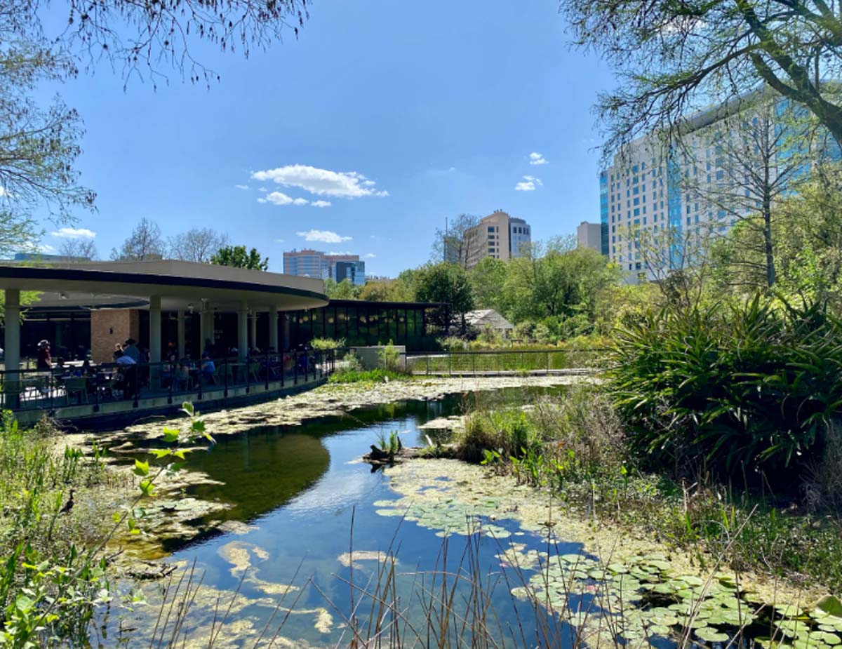 Los 10 mejores lugares para visitar en Houston en 2025