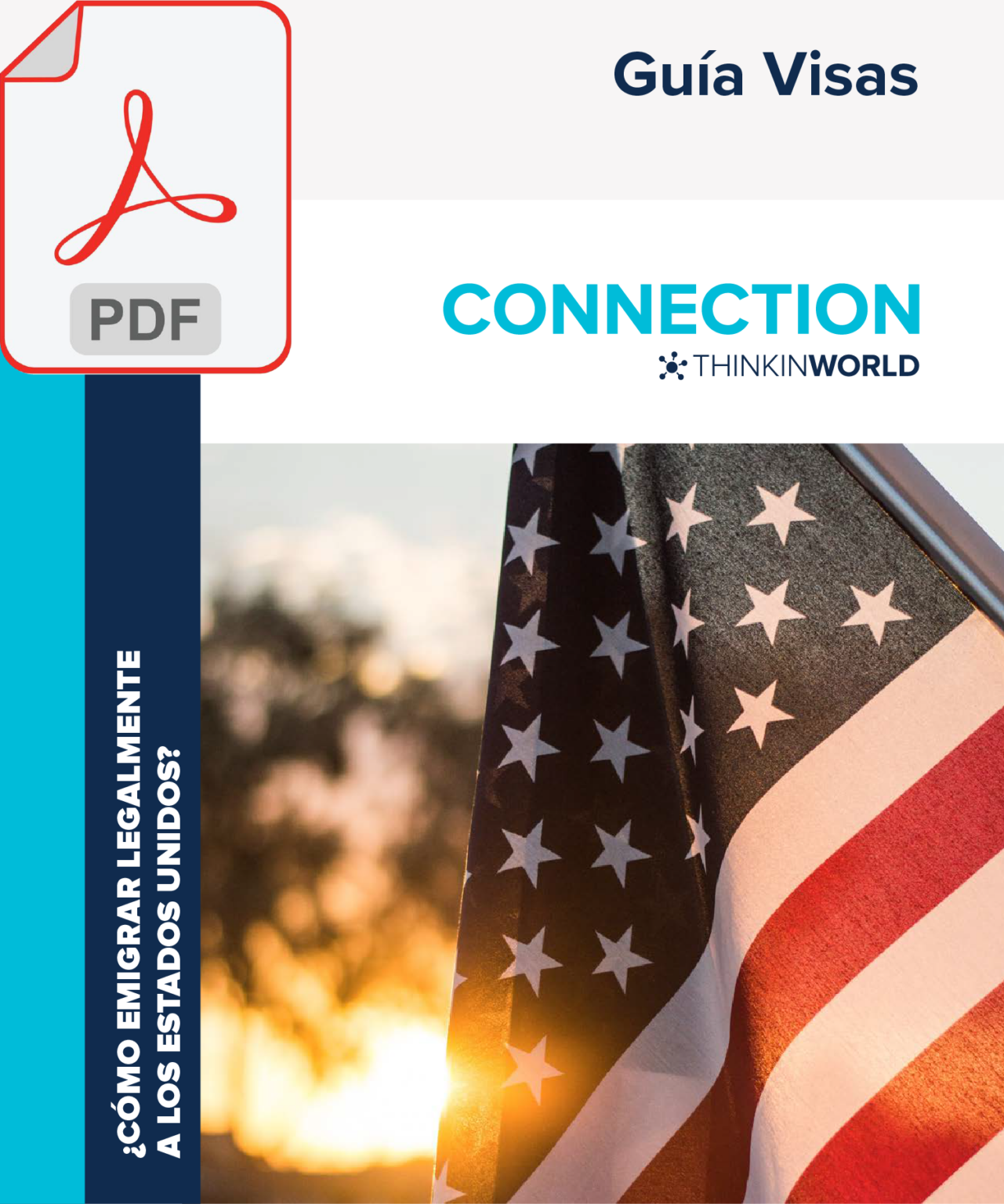 ¿Qué es y cuáles son los requisitos de la visa E1? - Thinkinworld